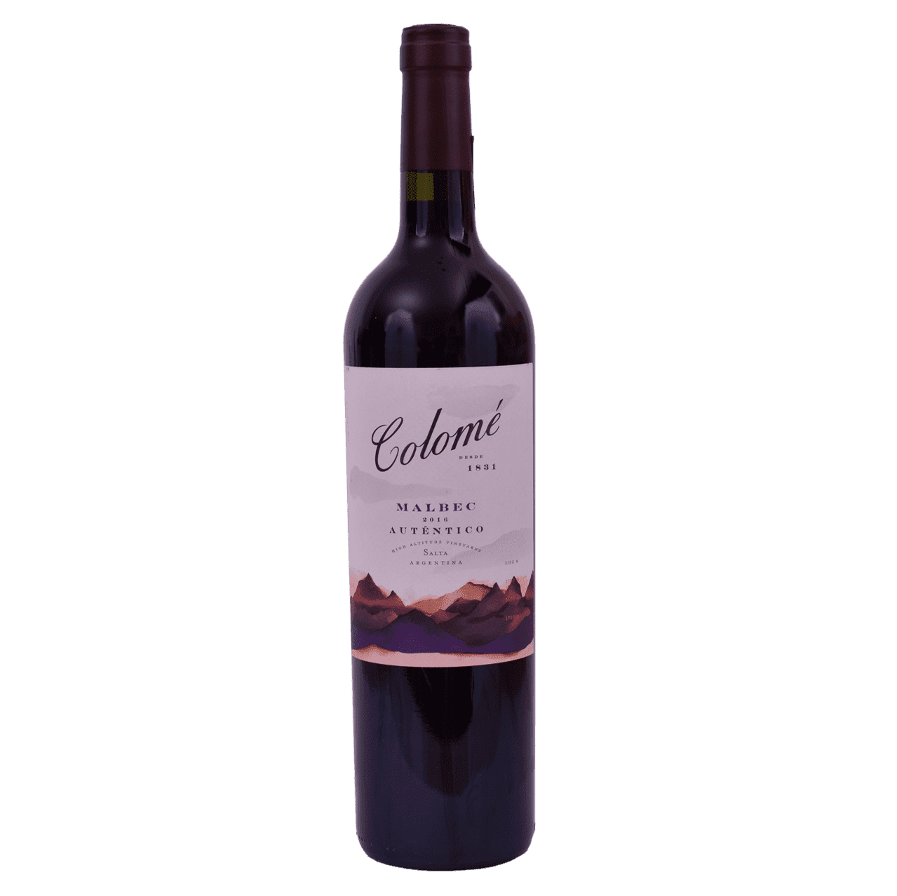 Colome Autentico Malbec Vino - WINECONCEPT – WineConcept